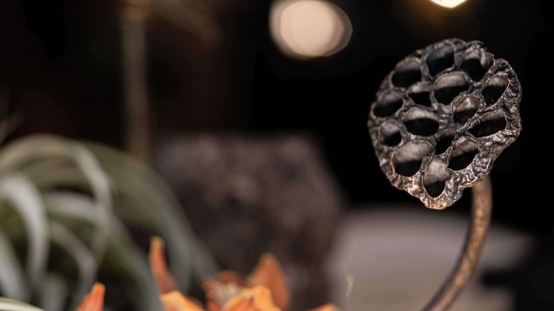 The Luxury of Stillness: Objects That Invite You to Pause